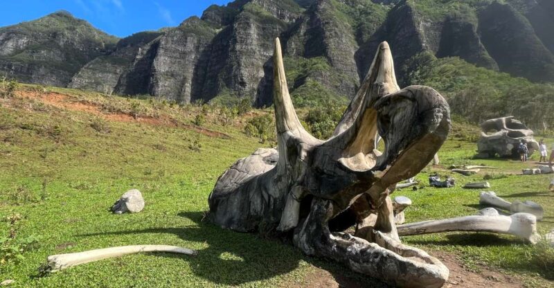 Oahu: Kualoa Movie Sites, Jungle, and Buffet Tour Package - Key Points