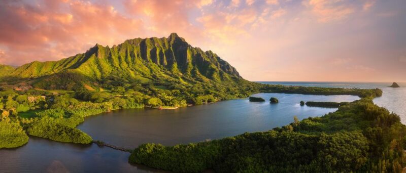 Oahu: Kualoa Movie Sites, Jungle, and Buffet Tour Package - Jungle Expedition: Into the Heart of the Rainforest