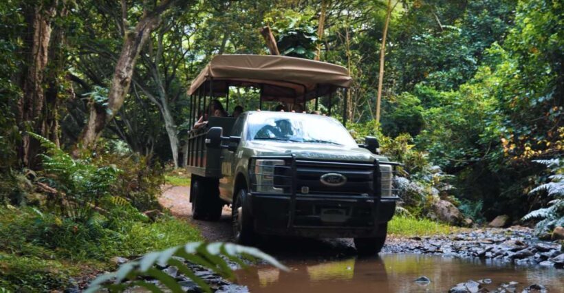 Oahu: Kualoa Open Air Jungle Expedition Tour - An In-Depth Look at the Tour Experience