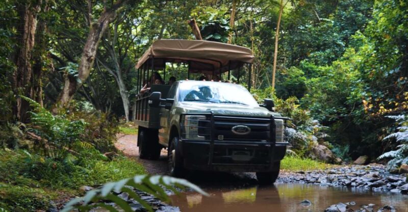 Oahu: Kualoa Open Air Jungle Expedition Tour - Who This Tour Is Best For