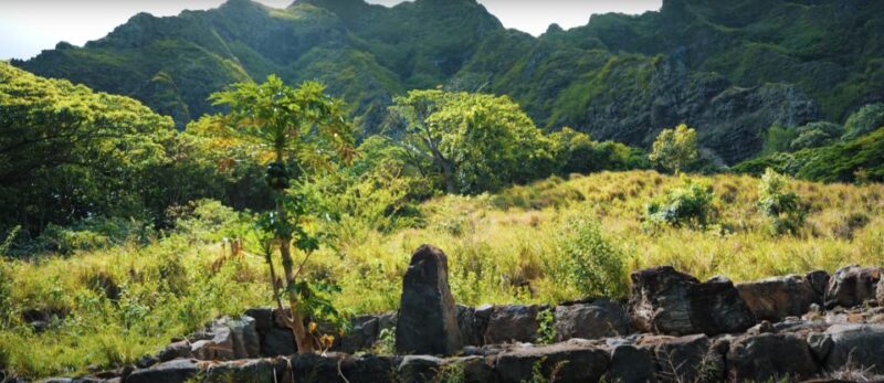 Oahu: Kualoa Open Air Jungle Expedition Tour - The Sum Up