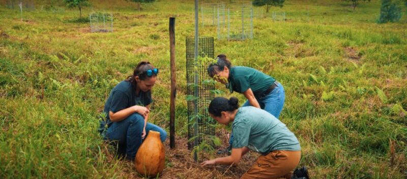 Oahu: Kualoa Ranch Malama Sustainability and Gardening Tour - What to Expect at Kualoa’s Malama Experience