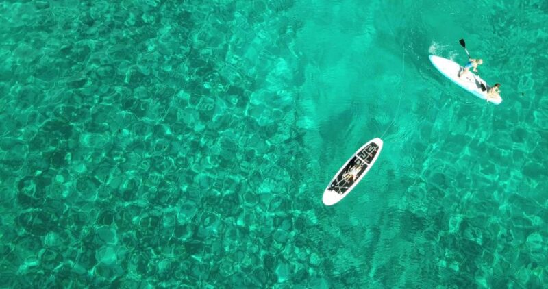 Oahu: Luxury 50' Catamaran Cruise with Snorkeling and Sunset - Final Thoughts: Who Will Love This Experience?