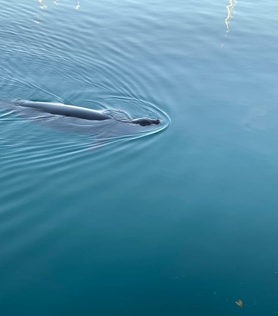 Oahu: Luxury Day Sailboat Charter - FAQ