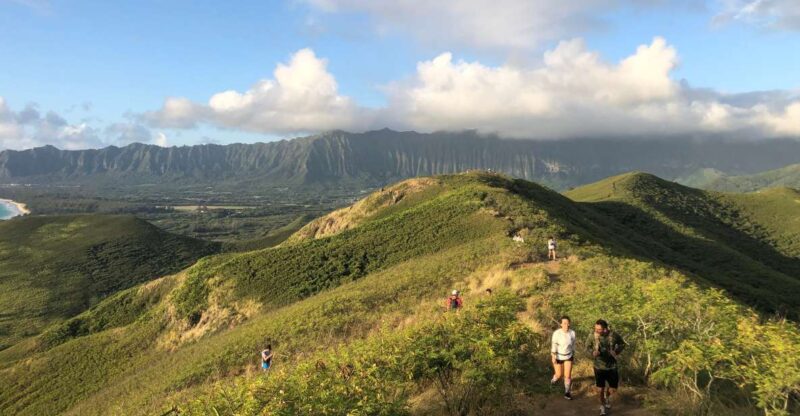 Oahu: Manoa Falls Hike and east side beach day - What Makes This Tour Stand Out?
