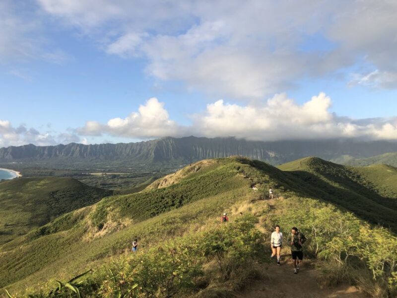 Oahu: Manoa Falls Hike and east side beach day - Real Experiences and Insights from Guests