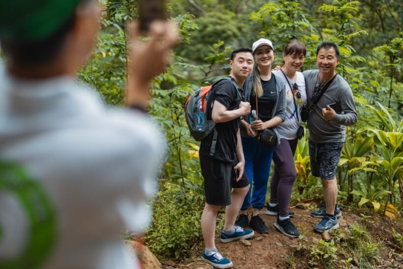 Oahu: Manoa Falls Waterfall Hike with Lunch and Transfers - The Practical Side: Timing, Difficulty, and Tips