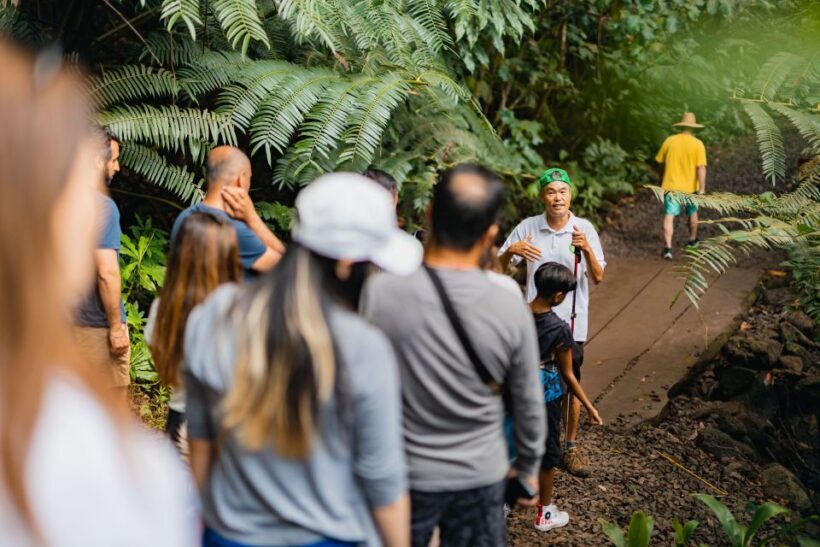 Oahu: Manoa Falls Waterfall Hike with Lunch and Transfers - The Value of Guided Tours
