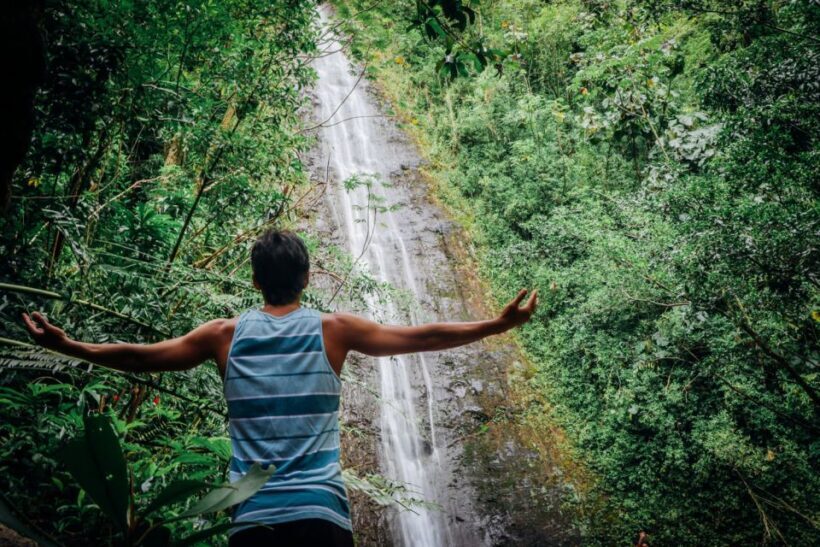 Oahu: Manoa Falls Waterfall Hike with Lunch and Transfers - Who Will Love This Tour?