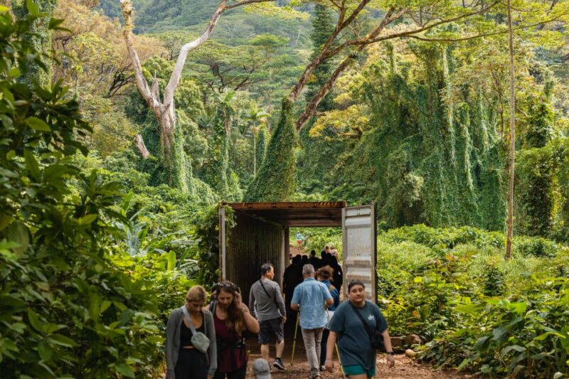 Oahu: Manoa Falls Waterfall Hike with Lunch and Transfers - Key Points