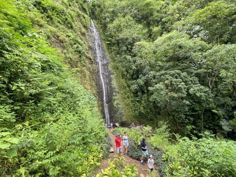 Oahu: Manoa Valley Private Hiking Trip & Waterfall - A Closer Look at the Manoa Valley Private Hike