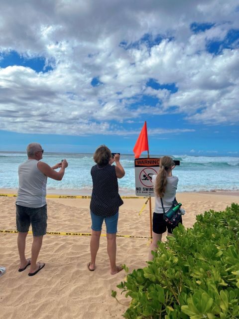 Oahu: North Shore Circle Island Small-Group Tour - Introduction