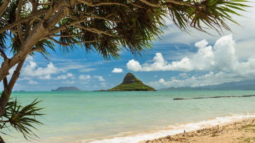 Oahu: North Shore Circle Island Small-Group Tour - Authenticity and Value