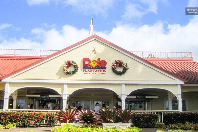 Oahu: North Shore & Dole Plantation Island Discover Tour - The Experience in Practice