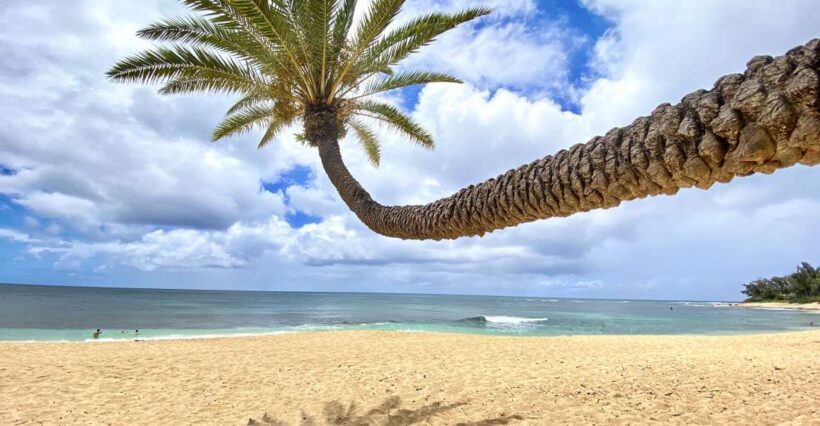 Oahu: North Shore Experience and Dole Plantation - The Itinerary: What You Can Expect