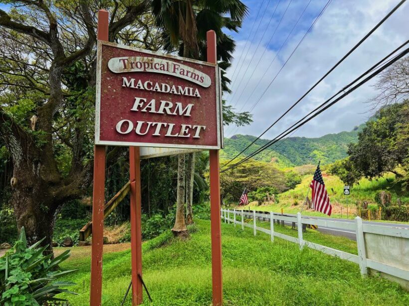 Oahu: North Shore Experience and Dole Plantation - FAQ