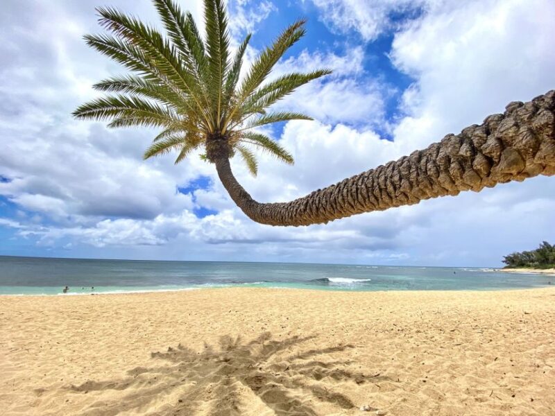 Oahu: North Shore Experience and Dole Plantation - Authenticity and Guide Quality