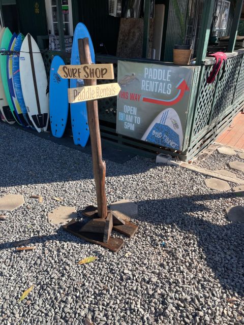 Oahu: North Shore Haleiwa Paddleboard River Adventure - The Scenic Journey and Wildlife