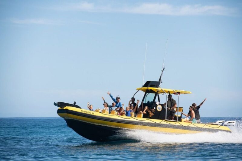 Oahu: North Shore Haleiwa: Private Boat Charter - Authentic Experiences from Visitors