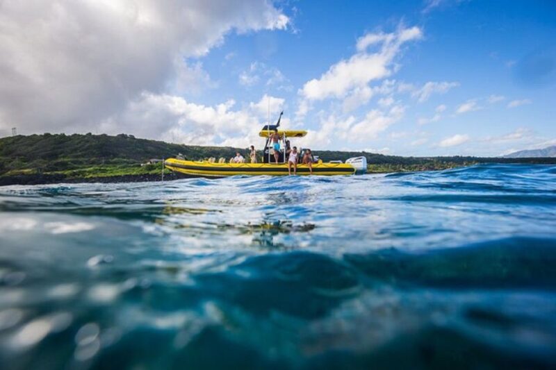 Oahu: North Shore Marine Life Tour from Haleiwa - Key Points