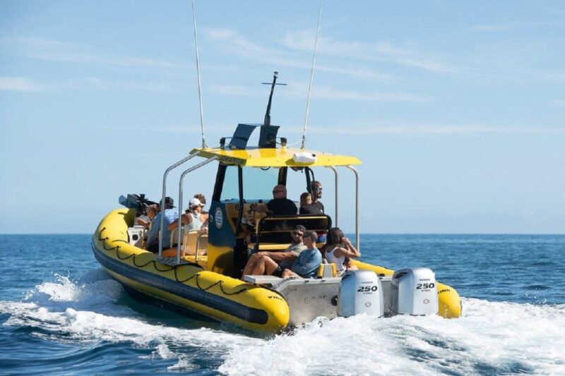 Oahu: North Shore Marine Life Tour from Haleiwa - Pricing and Value