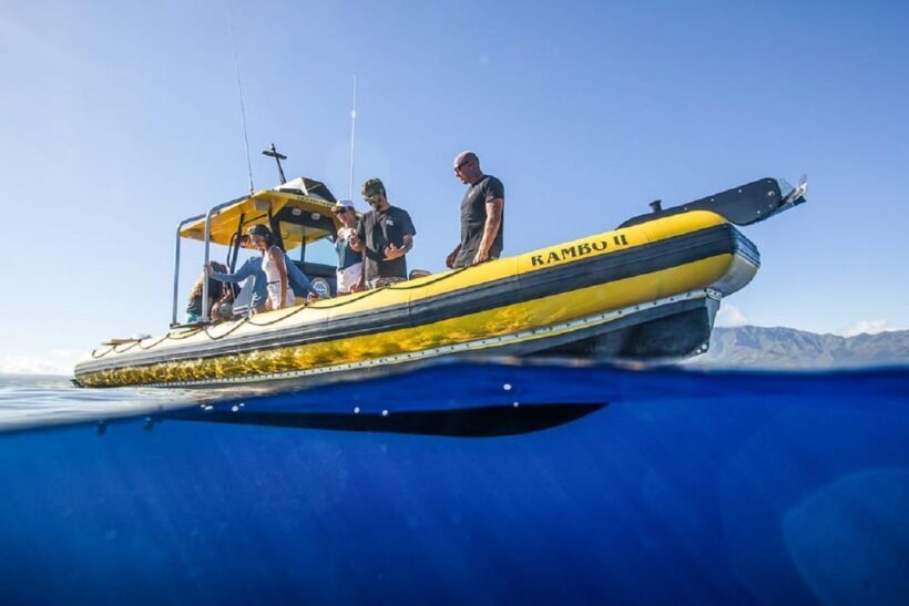 Oahu: North Shore Snorkeling Tour from Haleiwa - Key Points