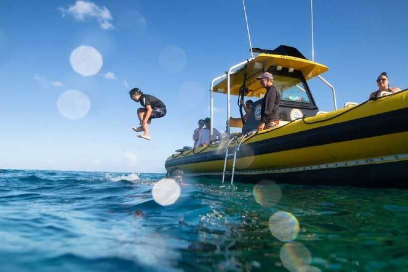 Oahu: North Shore Snorkeling Tour from Haleiwa - The Boat Ride: More Than Just Transportation