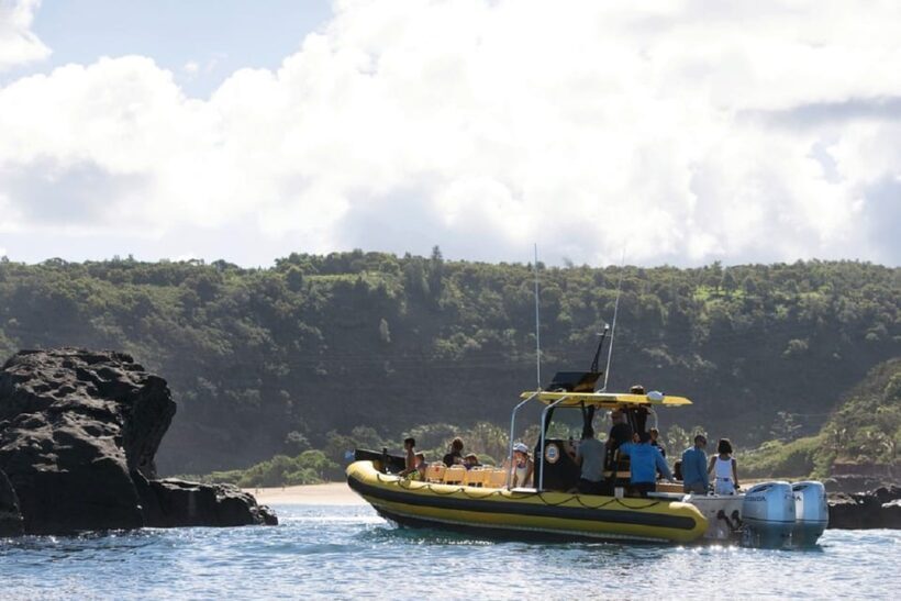 Oahu: North Shore Snorkeling Tour from Haleiwa - Why Travelers Rave About This Tour