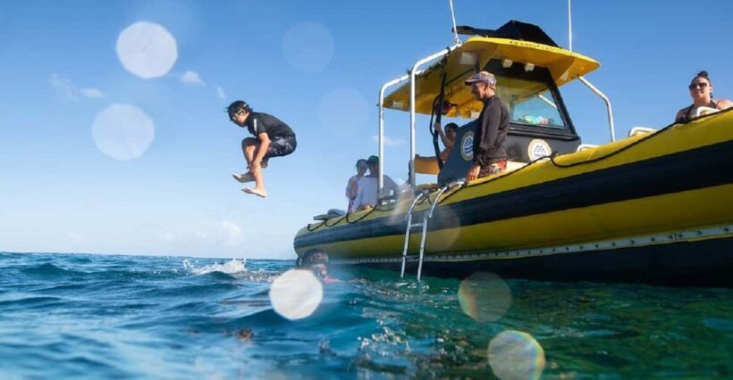 Oahu: North Shore Snorkeling Tour from Haleiwa - The Value Proposition