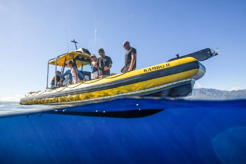 Oahu: North Shore Snorkeling Tour from Haleiwa - Authentic Encounters and Reviewer Insights