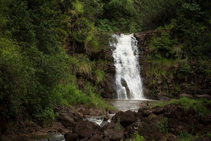 Oahu: North Shore Waterfall Swim - Who Should Consider This Tour?