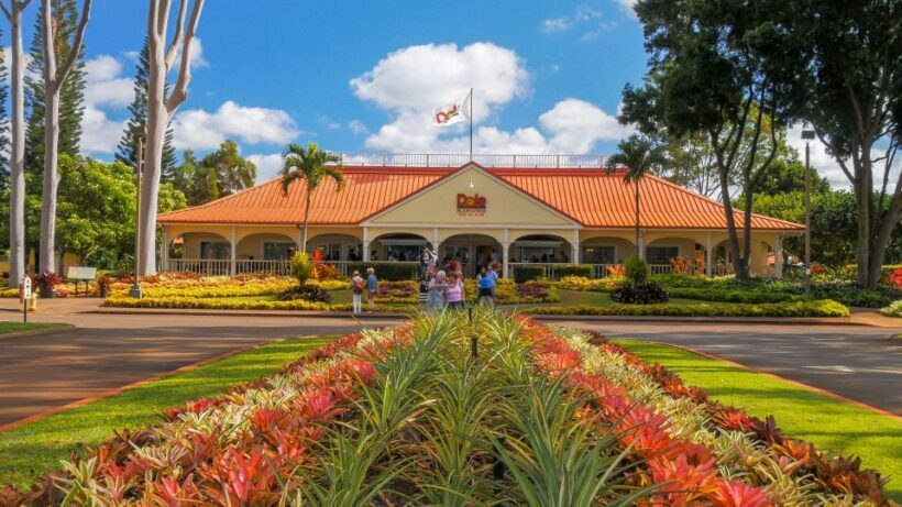 Oahu: Oahu Ultimate Grand Circle Island Tour - Authenticity and Tour Style