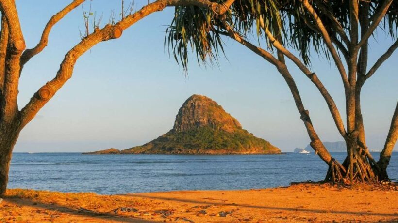 Oahu: Oahu Ultimate Grand Circle Island Tour - Who Is This Tour Best For?