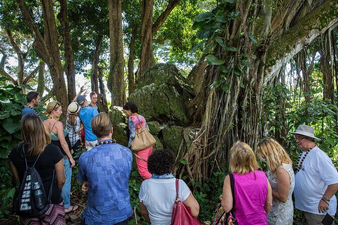 Oahu Personalized Private Tour - Final Thoughts