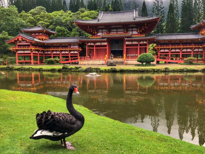 Oahu: Private Best of Oahu Sightseeing Tour - FAQ