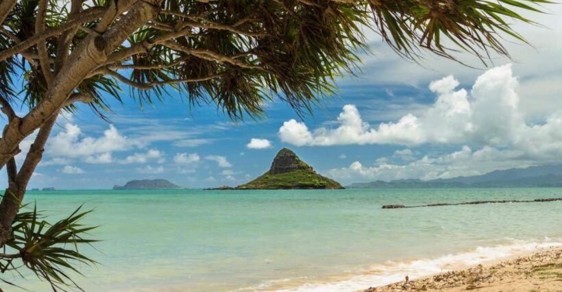 Oahu: Private Custom Island Tour - Authenticity and Experience