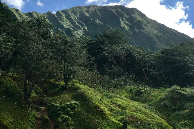 Oahu Private First, Last and Transfer Day Tours with Luggage - FAQs
