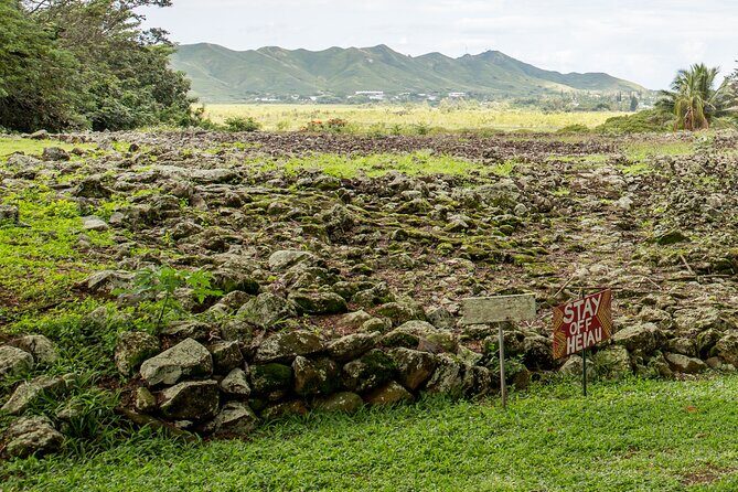 Oahu Private Honeymooners and Lovers Tour - Who Should Consider This Tour?