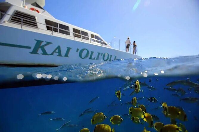 Oahu Private Sunset Snorkel and Dolphin Watch with Hot Buffet - Setting Off from Ko Olina Marina