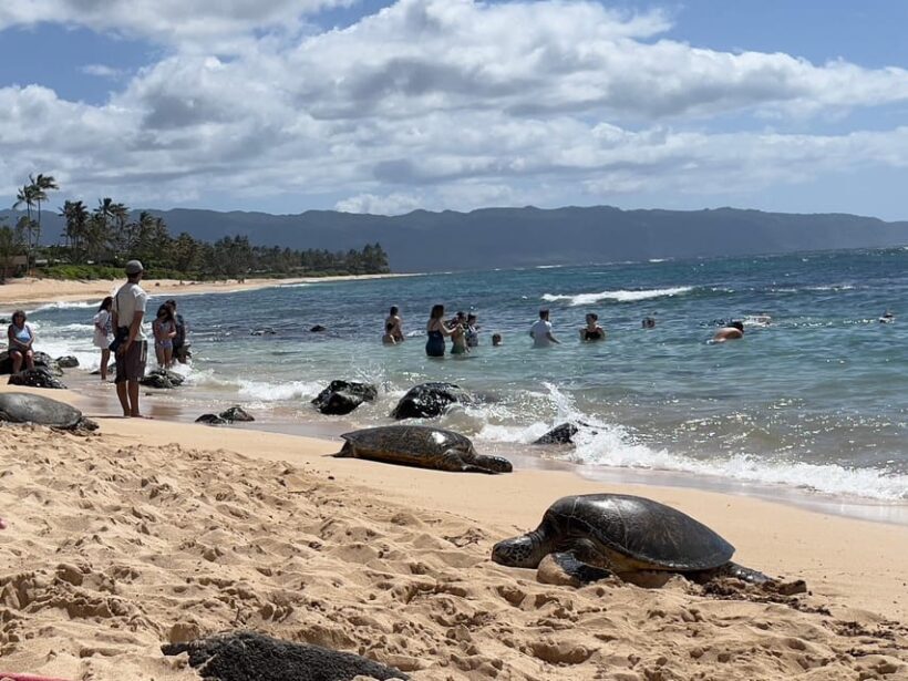 Oahu: Private Tour-Circle Island-Customizable - What’s Included & What You’ll Need to Budget