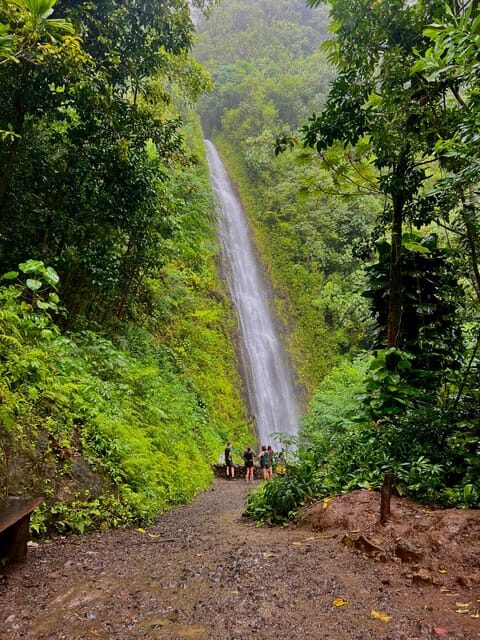 Oahu: Private Tour-Circle Island-Customizable - Who Will Love This Tour?