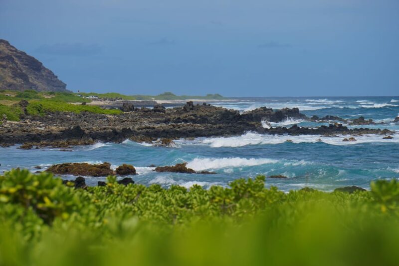 Oahu: Private Tour-Circle Island-Customizable - Key Points