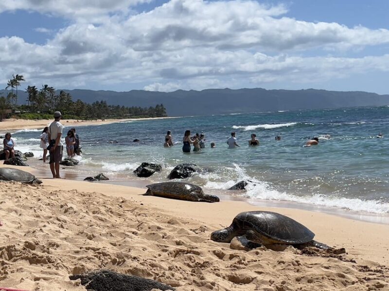 Oahu: Private Tour-Circle Island-Customizable - The Sum Up: Why Choose This Tour?