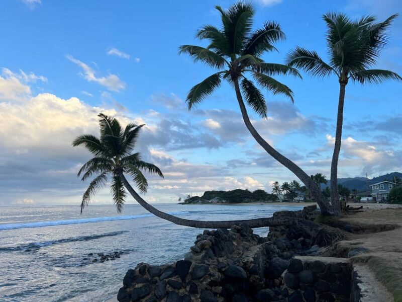 Oahu: Private Tour-Circle Island-Customizable - FAQs