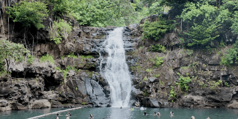 Oahu: Private Tour-North Shore feat. Waimea Falls - What Makes This Tour Stand Out