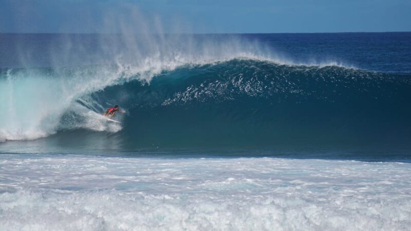 Oahu: Private Tour-North Shore feat. Waimea Falls - Who Will Love This Tour?