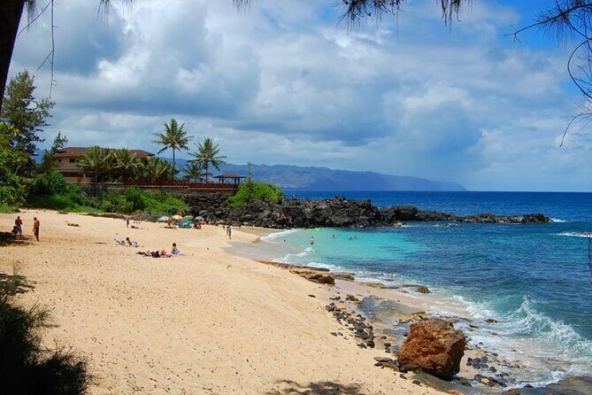 Oahu Private Tour North Shore, Waimea Falls and Dole Plantation - A Deep Dive into the Tour Experience