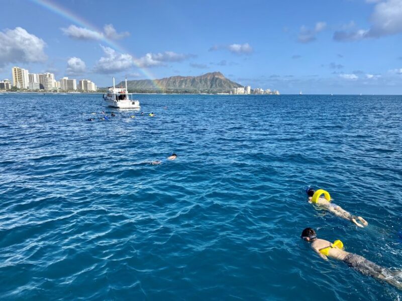Oahu: Private Turtle Snorkeling with Customizable Itinerary - The itinerary in detail