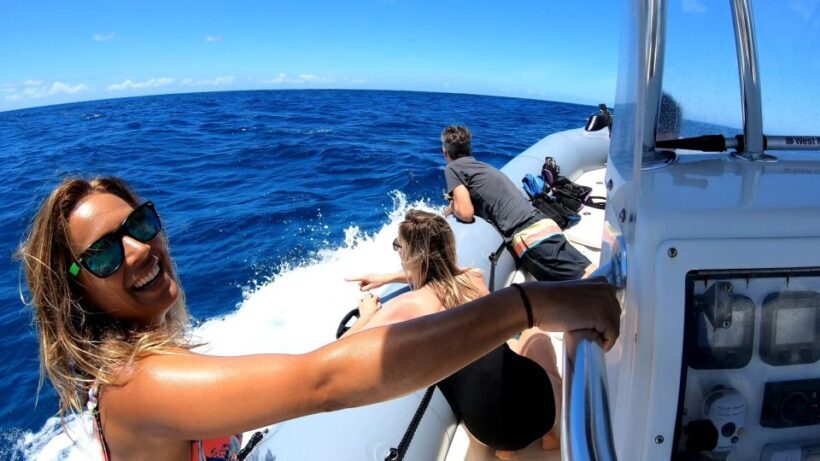 Oahu: Private Whale Watching Adventure - Key Points