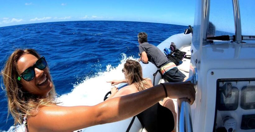 Oahu: Private Whale Watching Adventure - The Experience: What You Can Expect